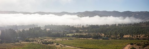 Robert Parker Wine Advocate - Unbiased Wine Reviews